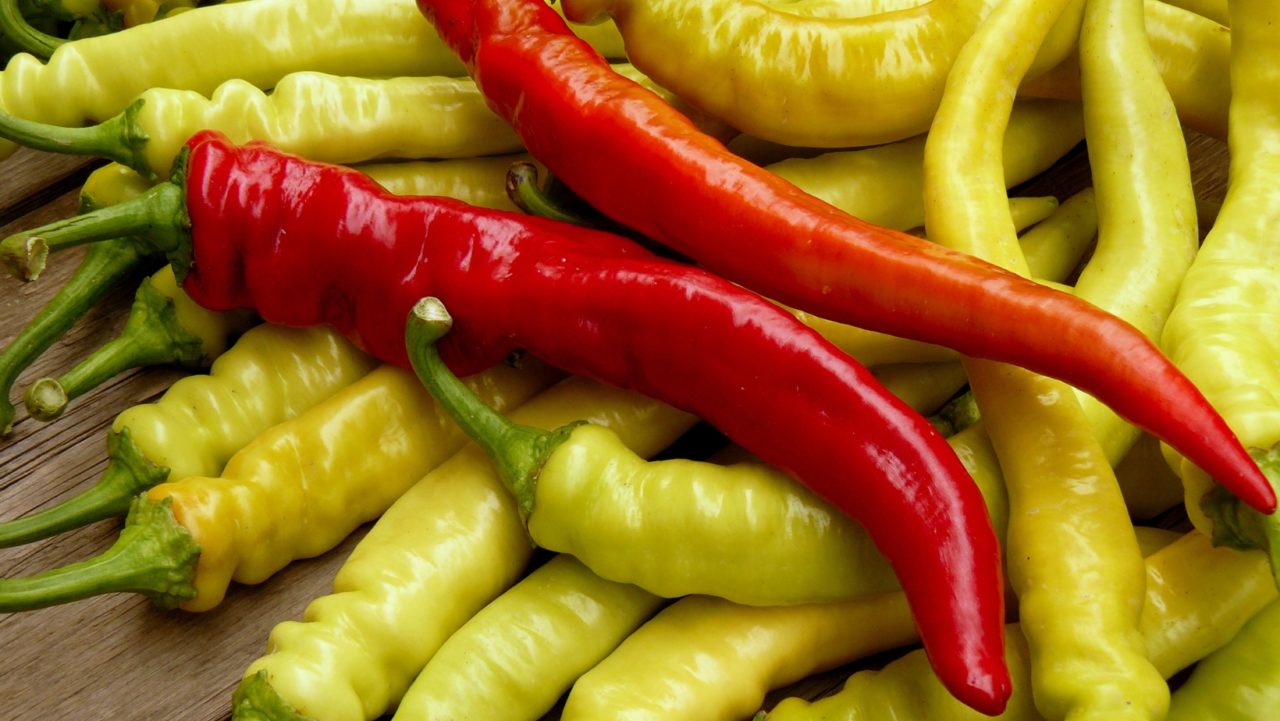 Guindillas picantes: dónde comprarlas online - Olivas Caseras